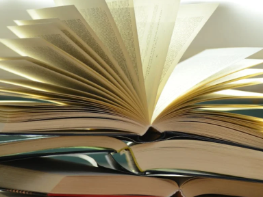 15 Best Book Club Picks for 2025: Must-Read Discussion Books